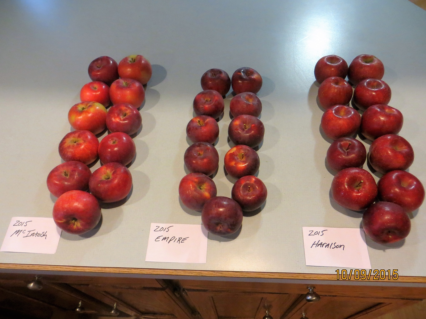 Apple Identification - General Fruit Growing - Growing Fruit