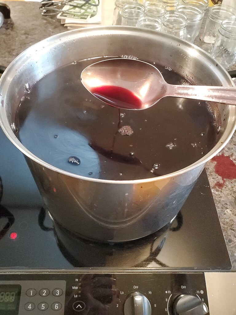 Jams, Jellies, Preserves, and Syrups 2025 - Fruit in the Kitchen ...