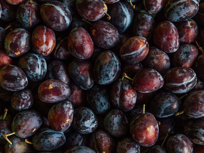 Orcas Pear - General Fruit Growing - Growing Fruit