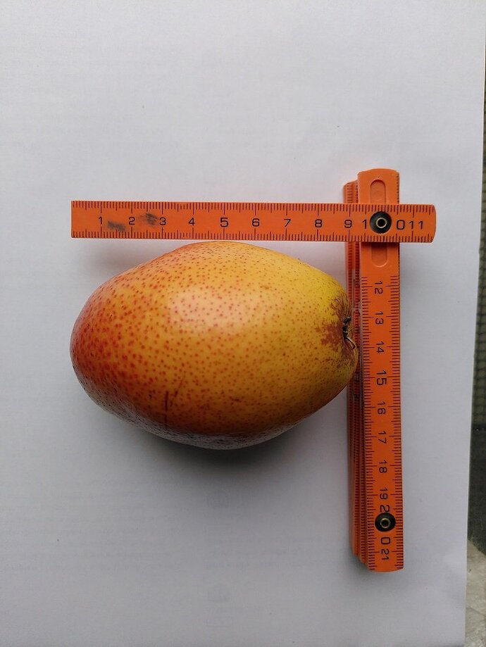 Universal pome fruit rootstock? - General Fruit Growing - Growing Fruit