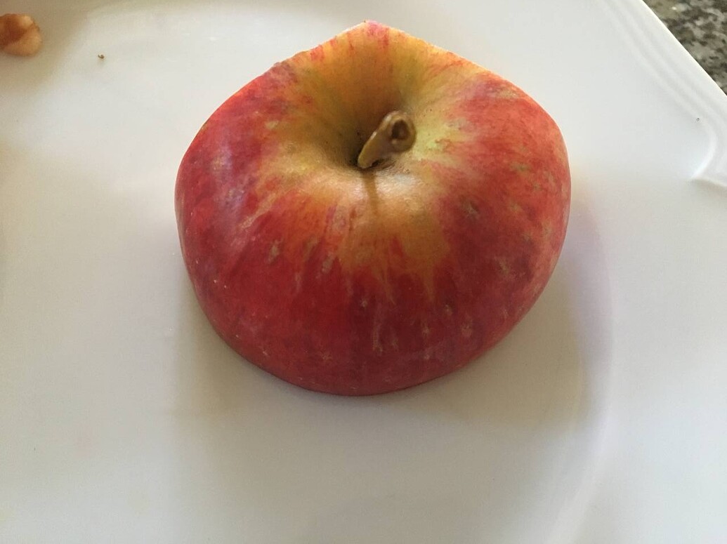 Lost Apple Project Apple Reviews - General Fruit Growing - Growing Fruit