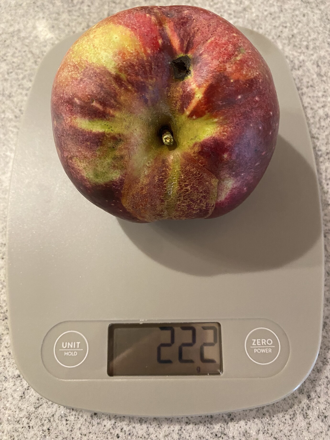 Williams Pride Apple Ripen Date - General Fruit Growing - Growing Fruit