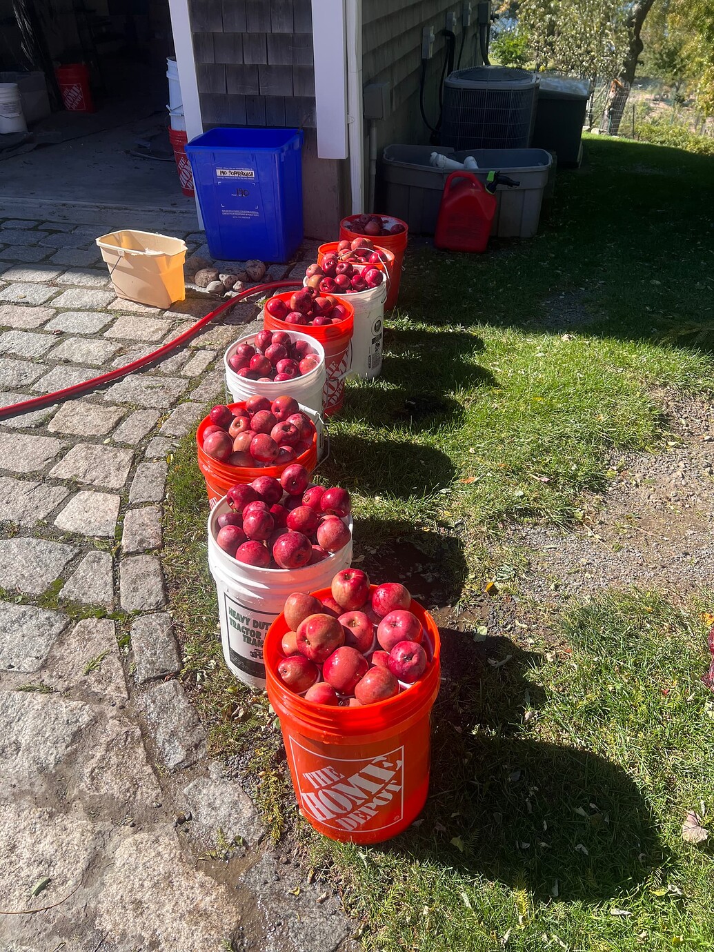 Otterson Apple - General Fruit Growing - Growing Fruit