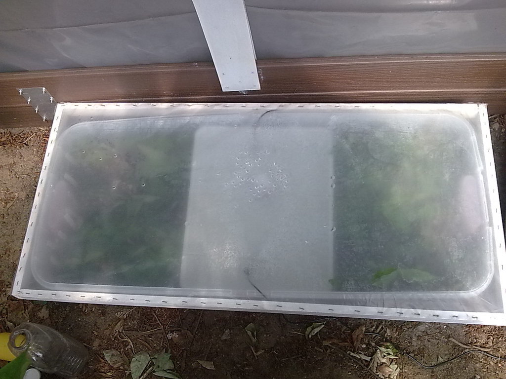 Battery Powered Mist Propagation Timer - General Fruit Growing ...