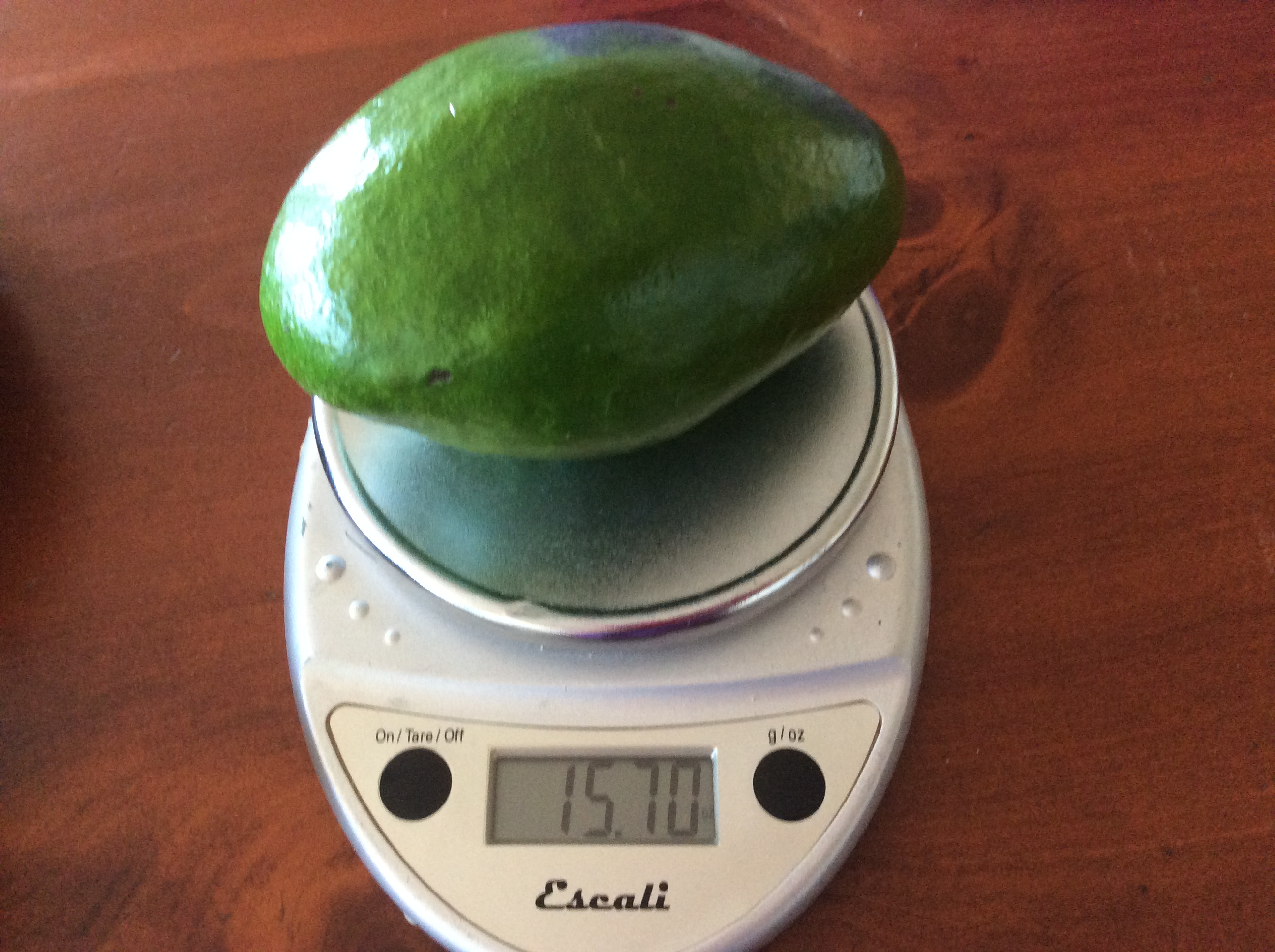 Questions not deserving of a whole thread - Page 51 - General Fruit ...