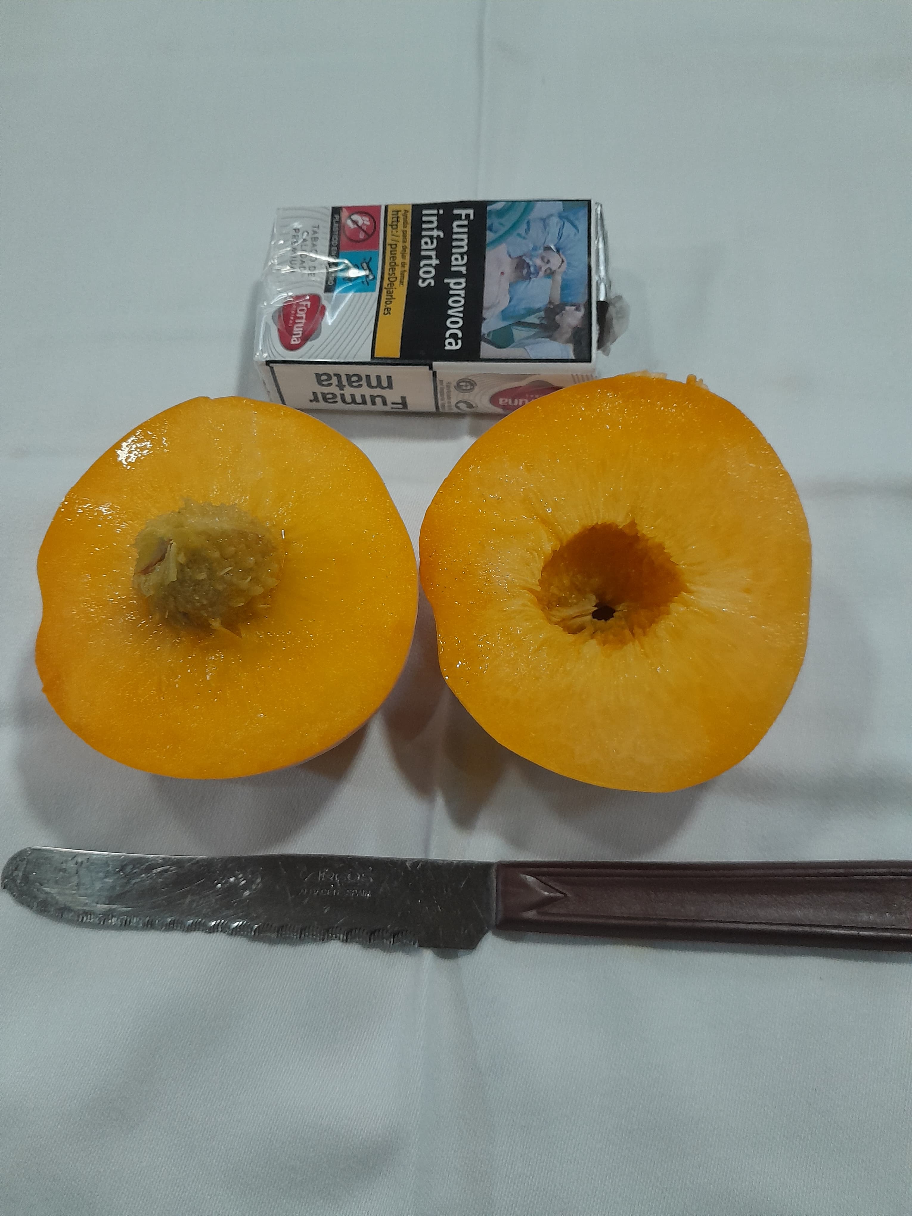 SMS Unlimited Yellowstone-4 canning peach type - General Fruit Growing ...