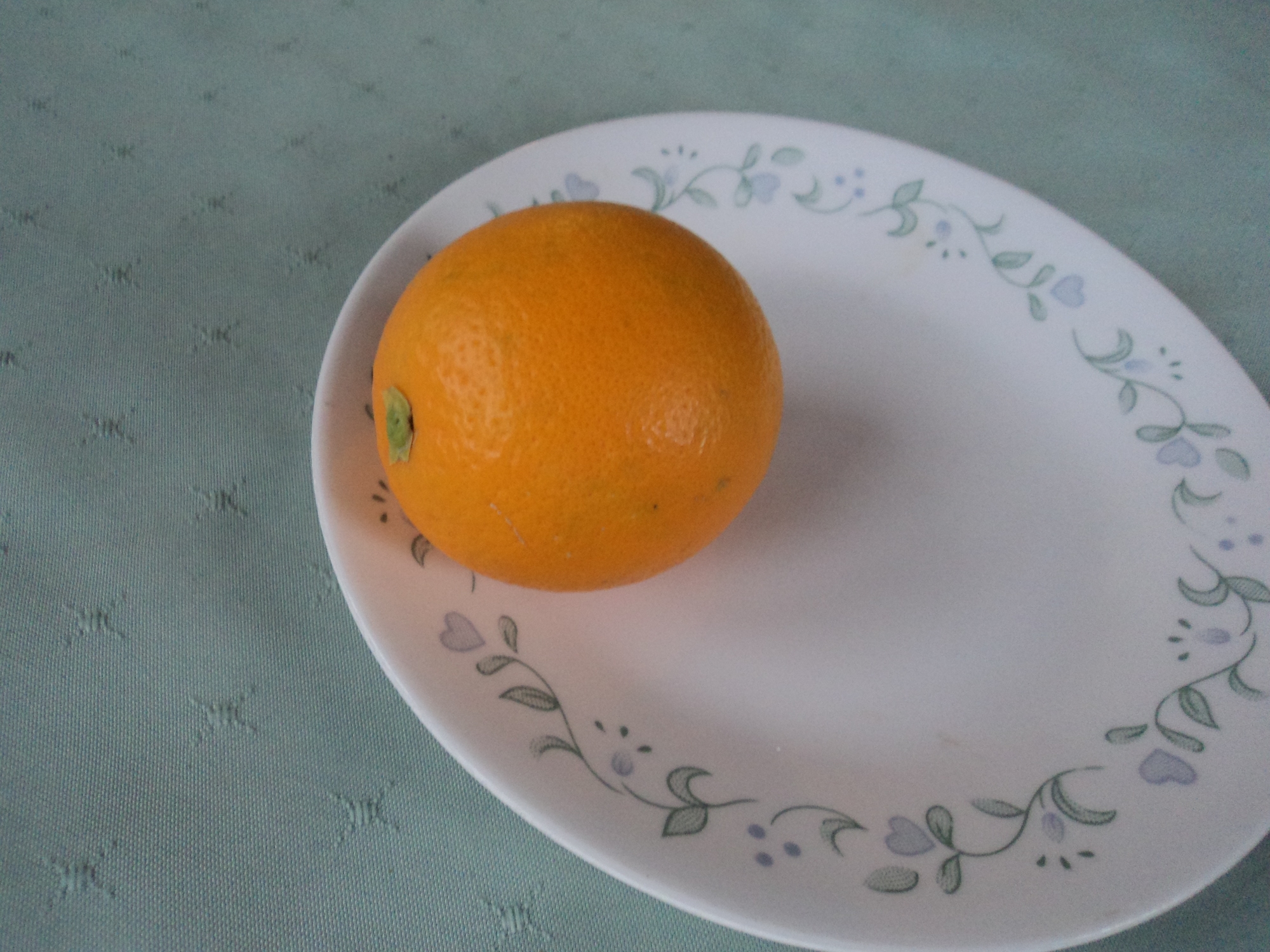 Hamlin Orange - Pictures! - Growing Fruit