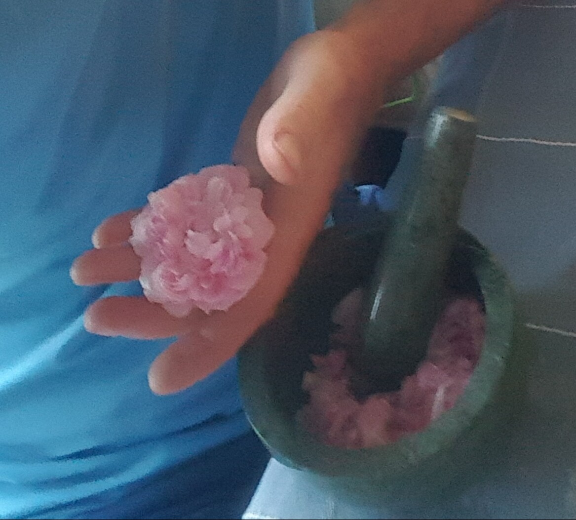 Damask Rose Tea - General Gardening - Growing Fruit