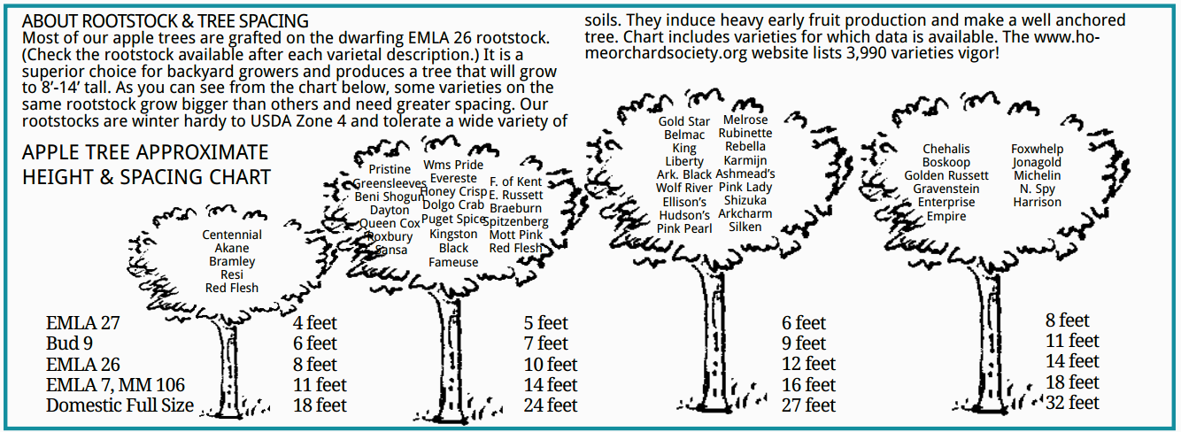 Width of mulch rows - General Fruit Growing - Growing Fruit