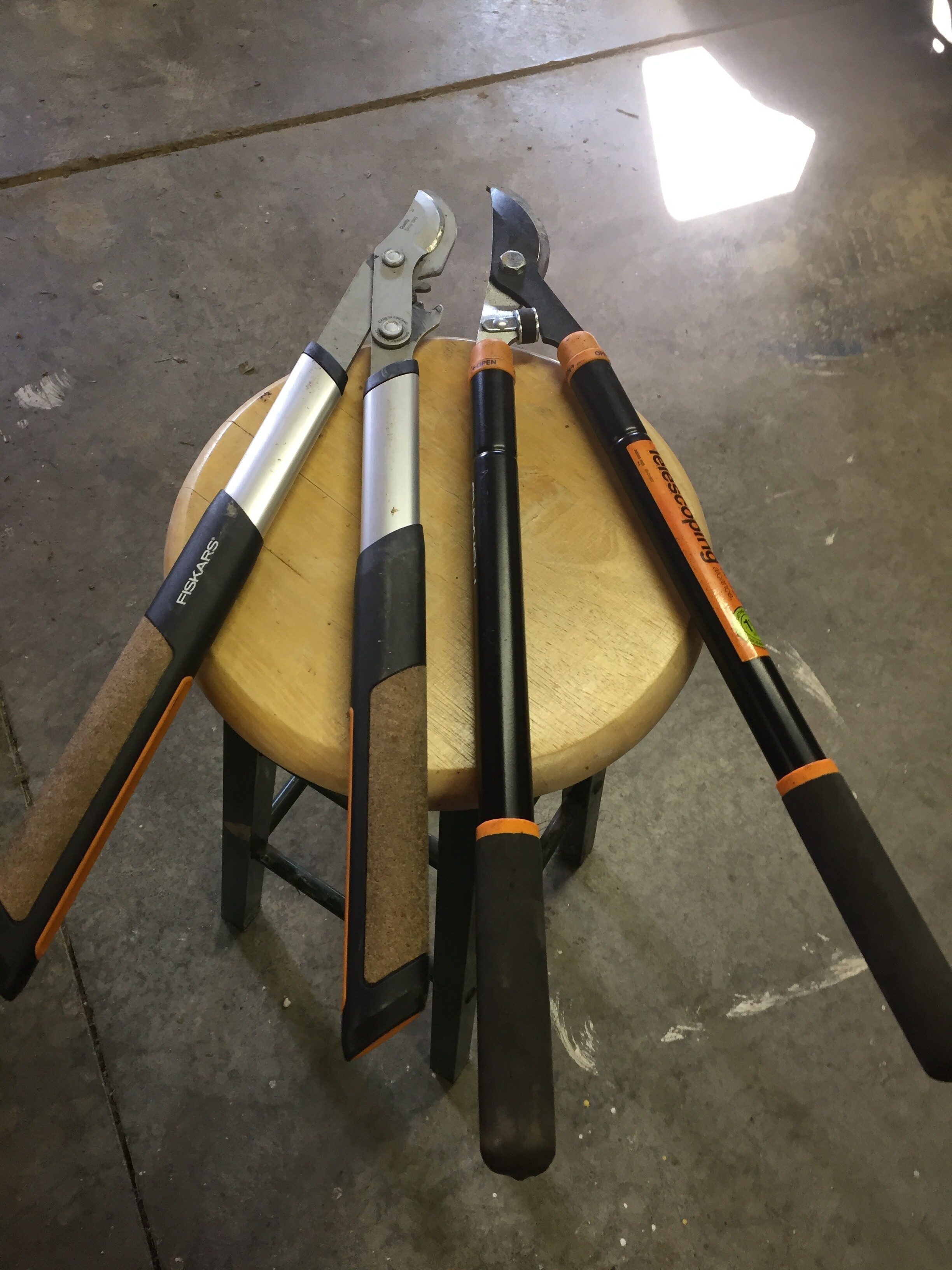 Favorite loppers General Fruit Growing Growing Fruit