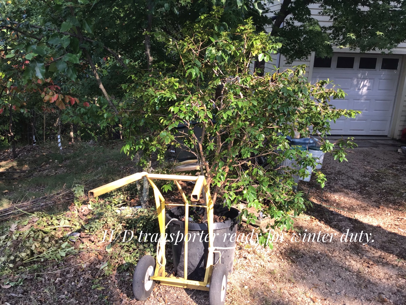 Clean-up has started - General Fruit Growing - Growing Fruit