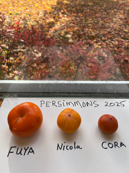 Progressive Cold Hardening - General Fruit Growing - Growing Fruit