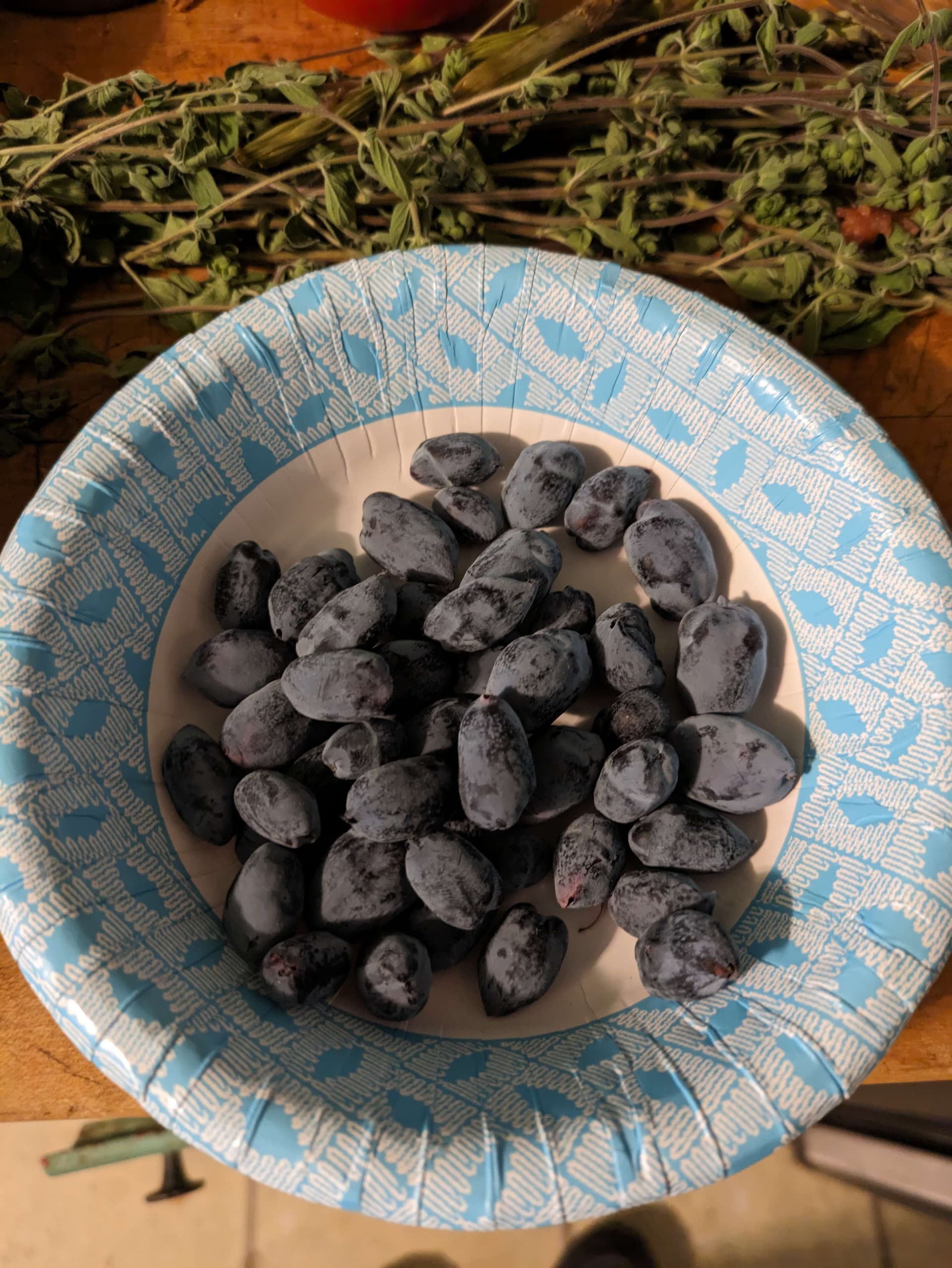 Best haskap taste - General Fruit Growing - Growing Fruit