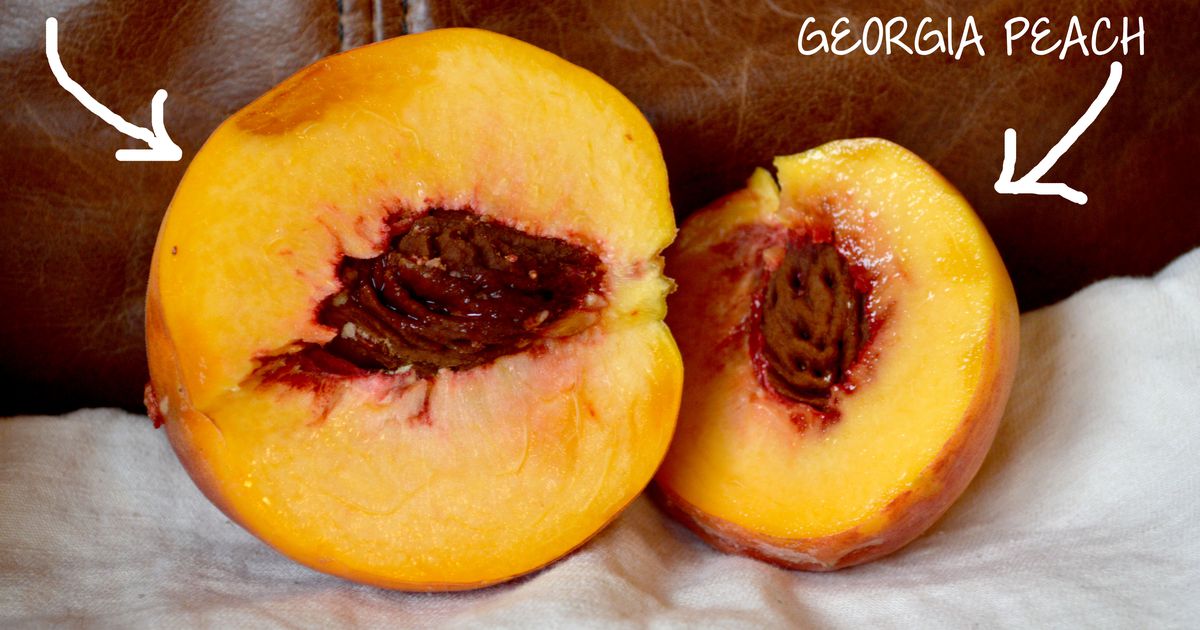 The peach state lost 90% of their peaches - General Fruit Growing ...