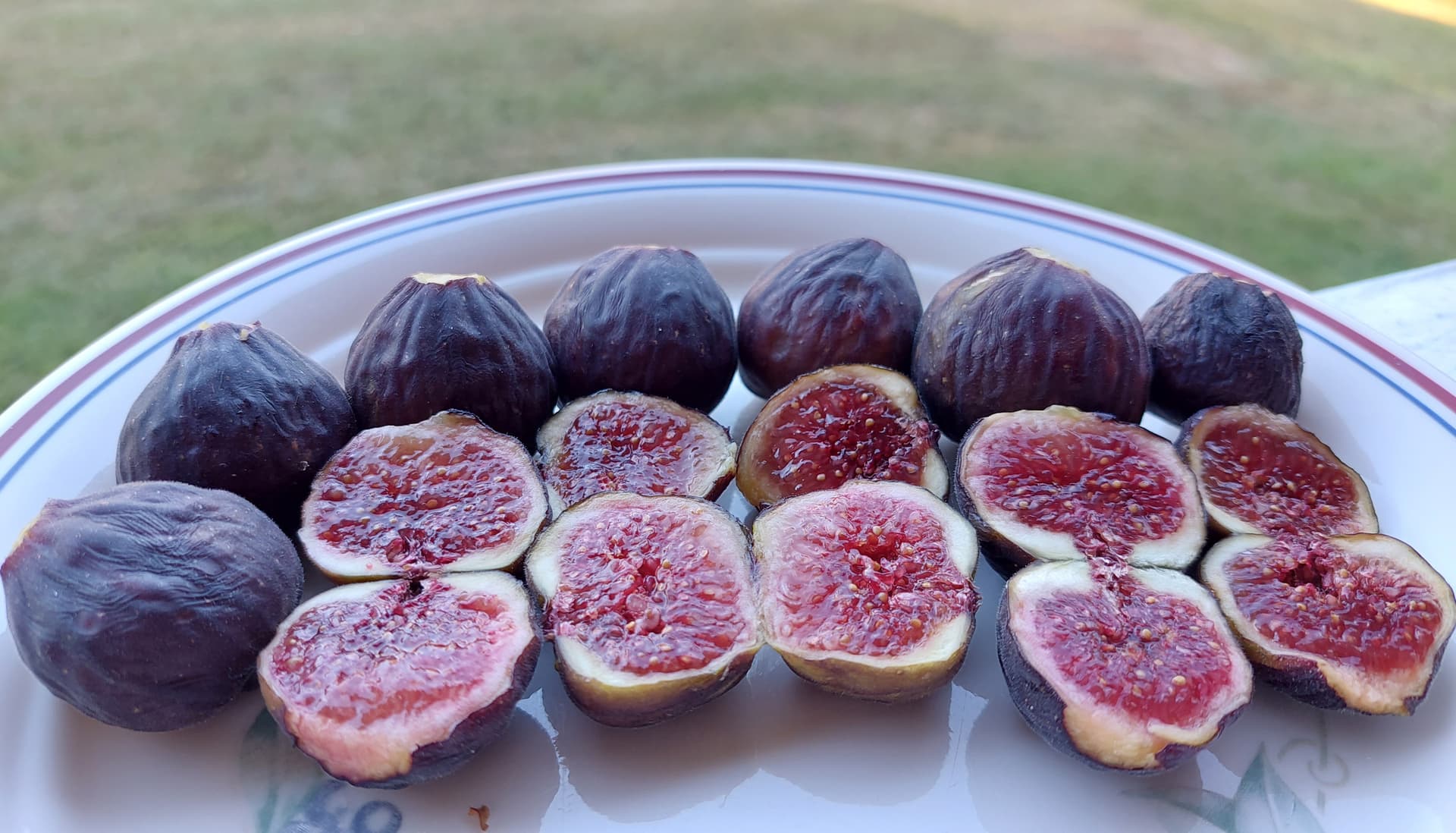My 1st homegrown fig! - General Fruit Growing - Growing Fruit