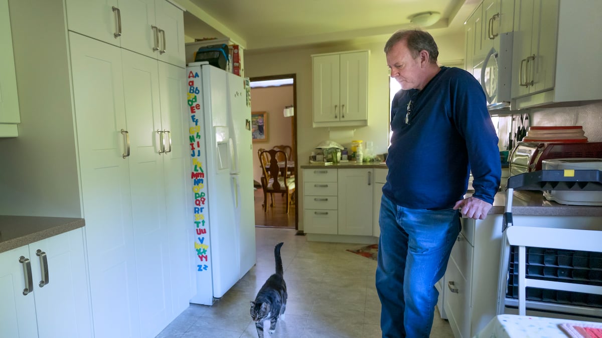 Woodland crops only (forest farming) - General Fruit Growing - Growing ...