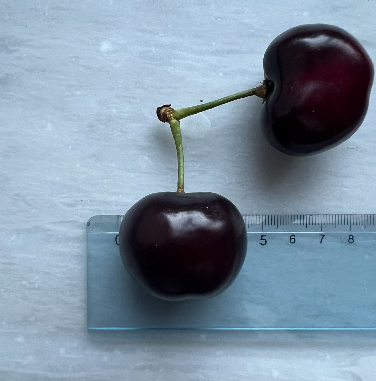 Something good happened on my orchard last year , I broke my personal ...