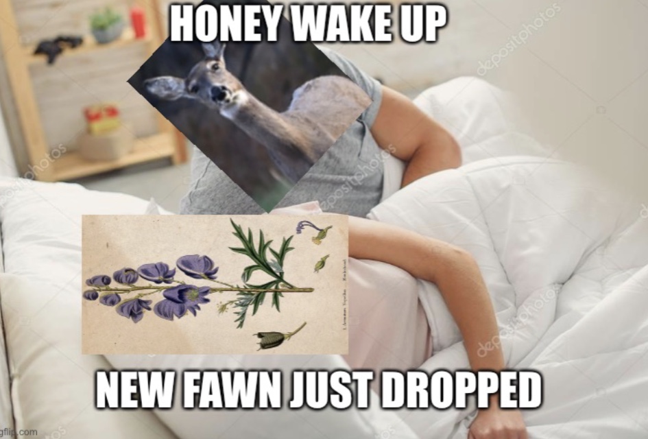 Gardening Memes! - Pictures! - Growing Fruit