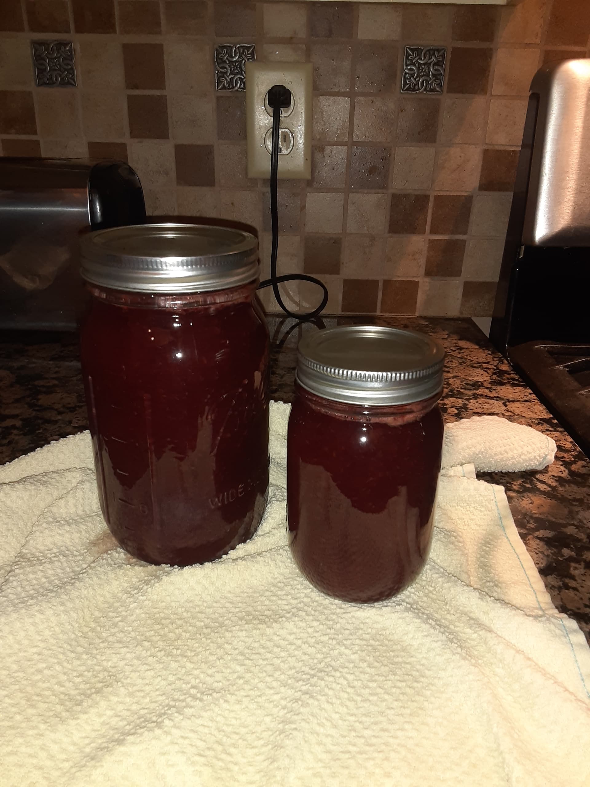 Jams Jellies Preserves 2023 - Page 2 - Fruit in the Kitchen - Growing Fruit