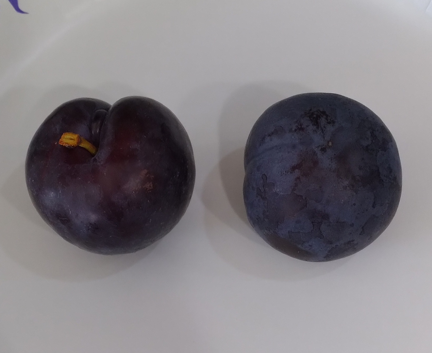 Spring Satin ripens early - General Fruit Growing - Growing Fruit