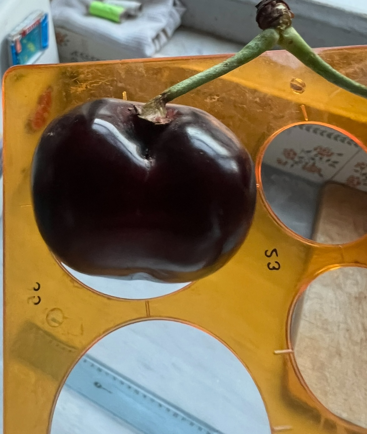 Something good happened on my orchard last year , I broke my personal ...