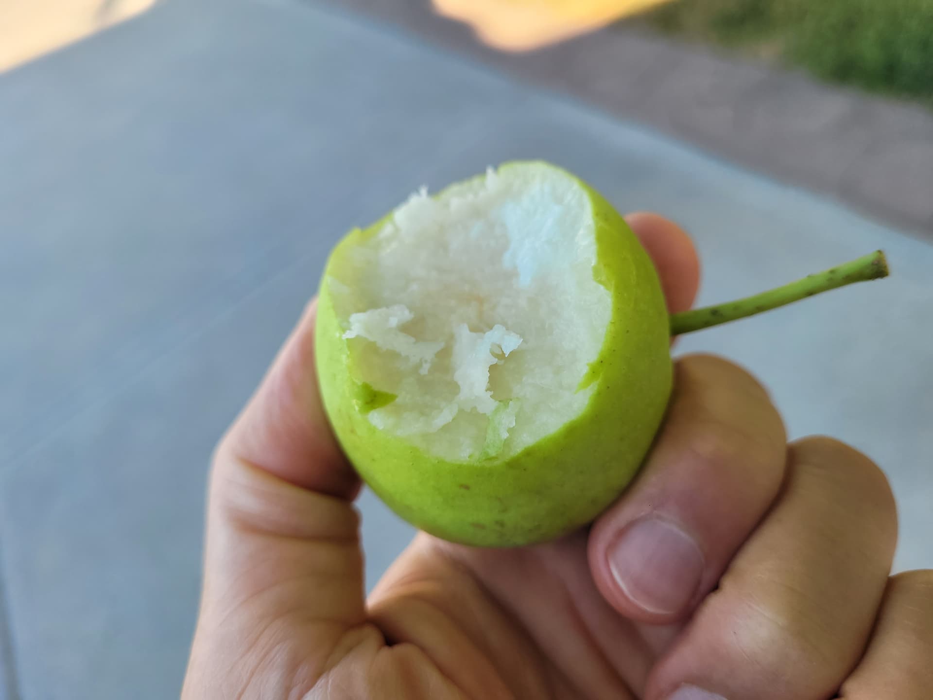 It is time to thin out my Pai Li Asian 🍐 - General Fruit Growing ...