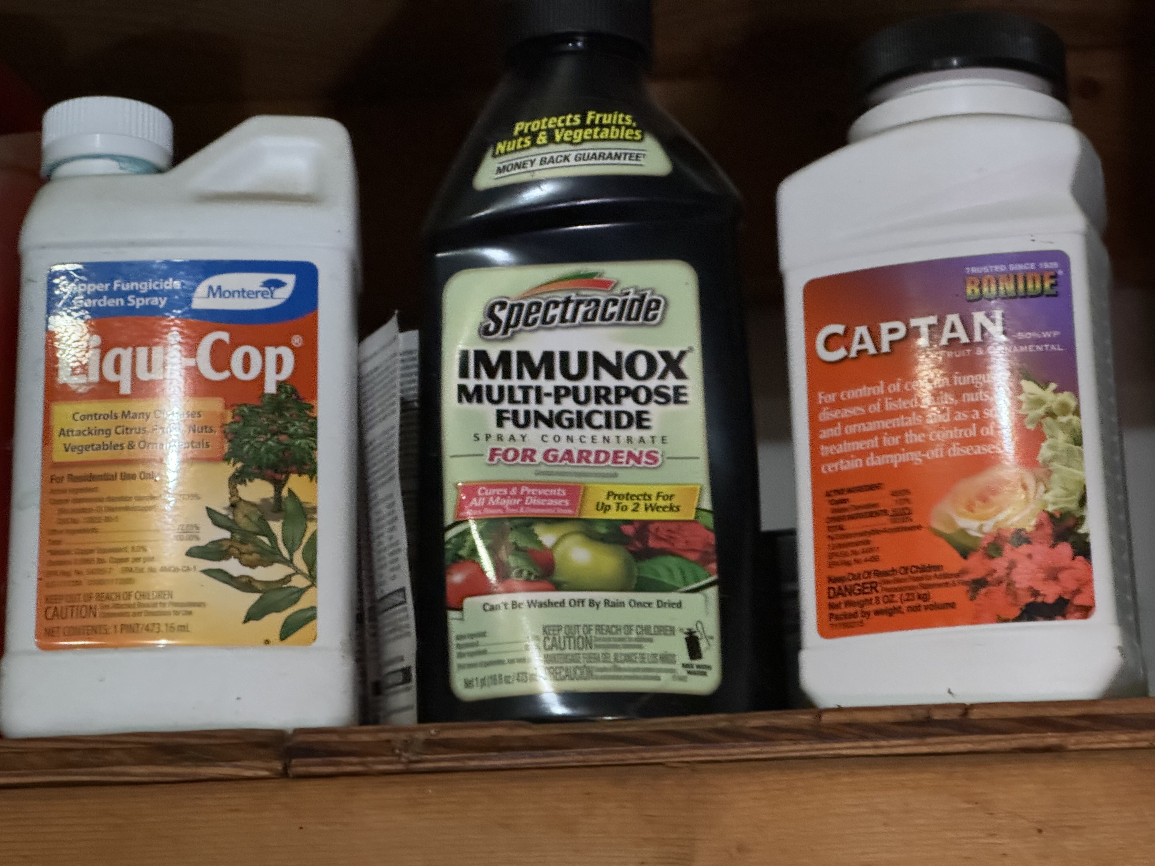Seize the day to spray (cherries)? - General Fruit Growing - Growing Fruit