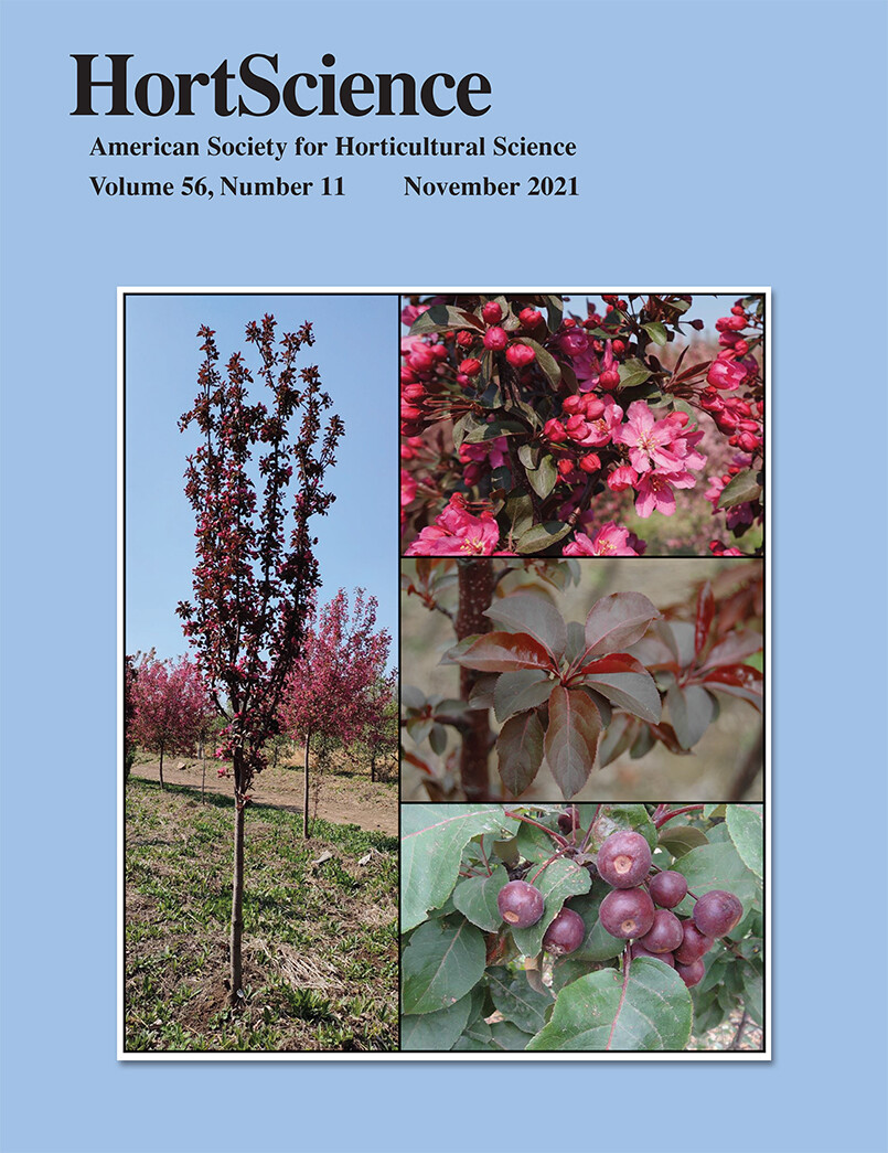 Bell Pear aka US84909-391 - General Fruit Growing - Growing Fruit