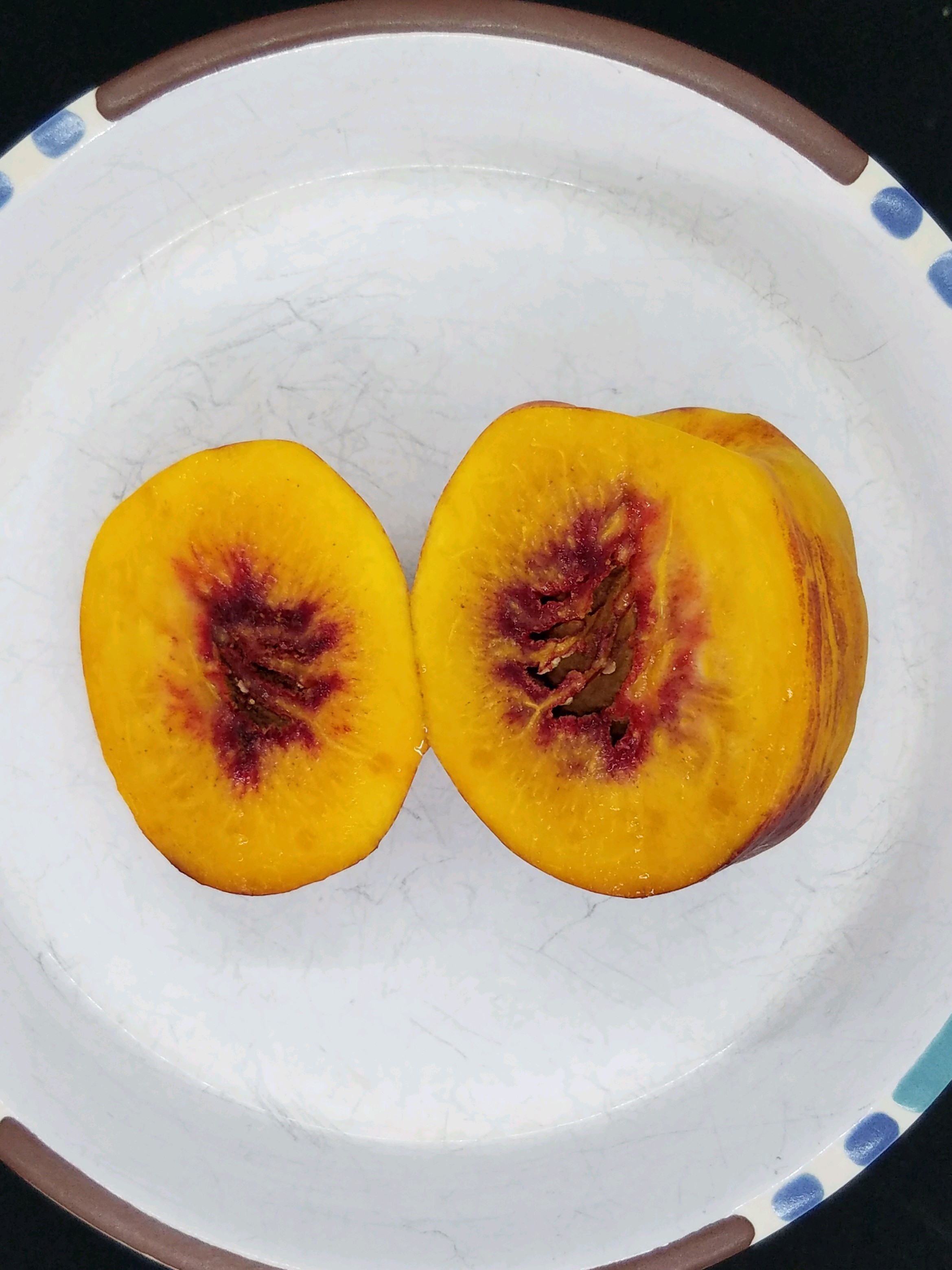 Late season Peaches - Page 8 - General Fruit Growing - Growing Fruit