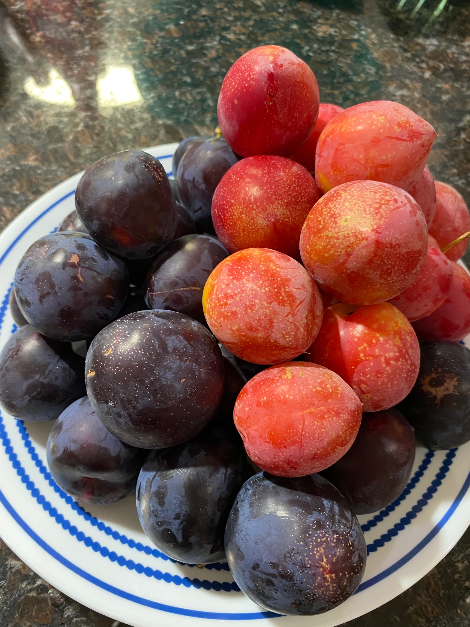 Pacific Northwest Fruit & Nut Growers - Regional Chats - Growing Fruit