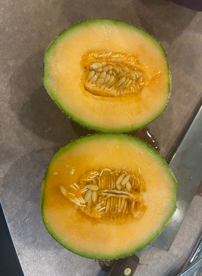 Melon/Watermelon 2025 - Page 3 - General Fruit Growing - Growing Fruit