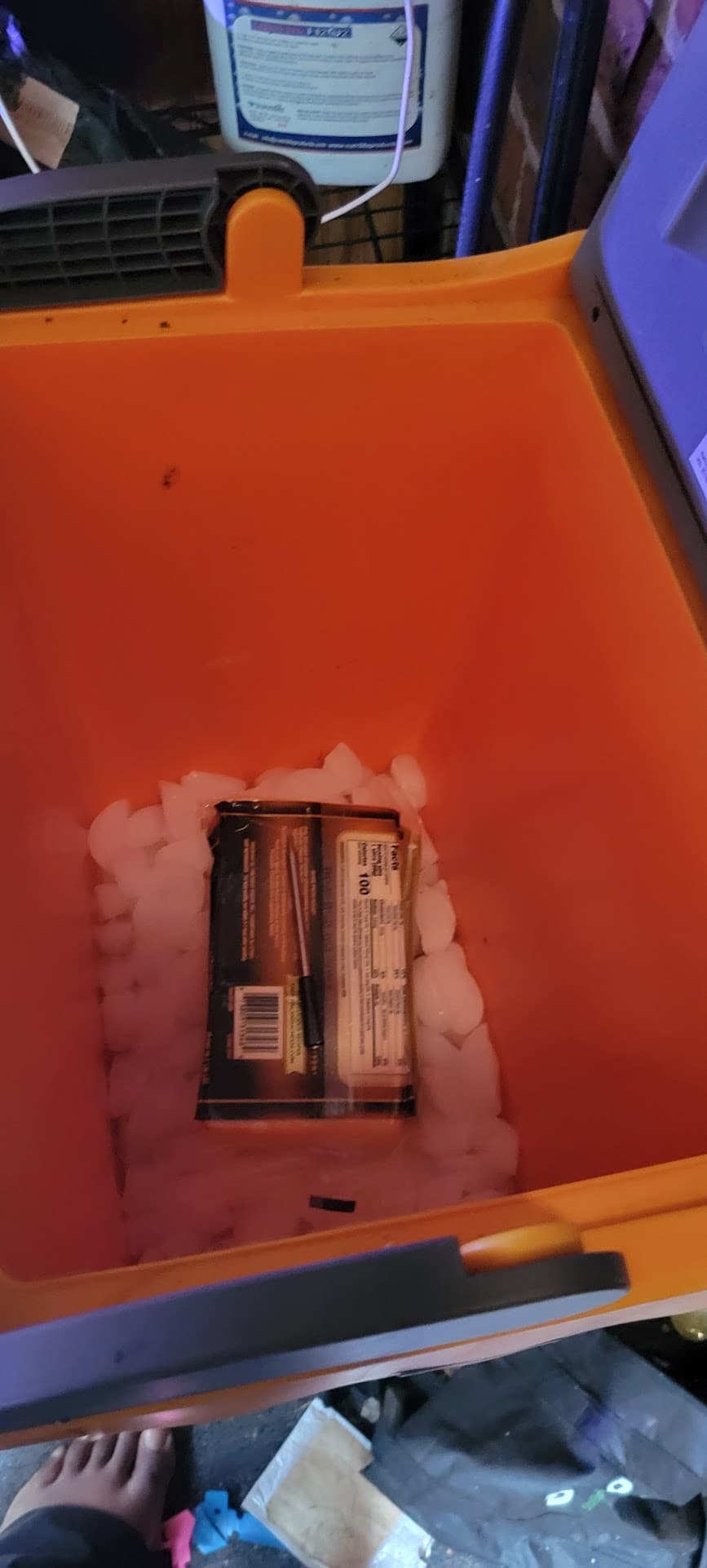 Dialing in your Scion storage - General Fruit Growing - Growing Fruit