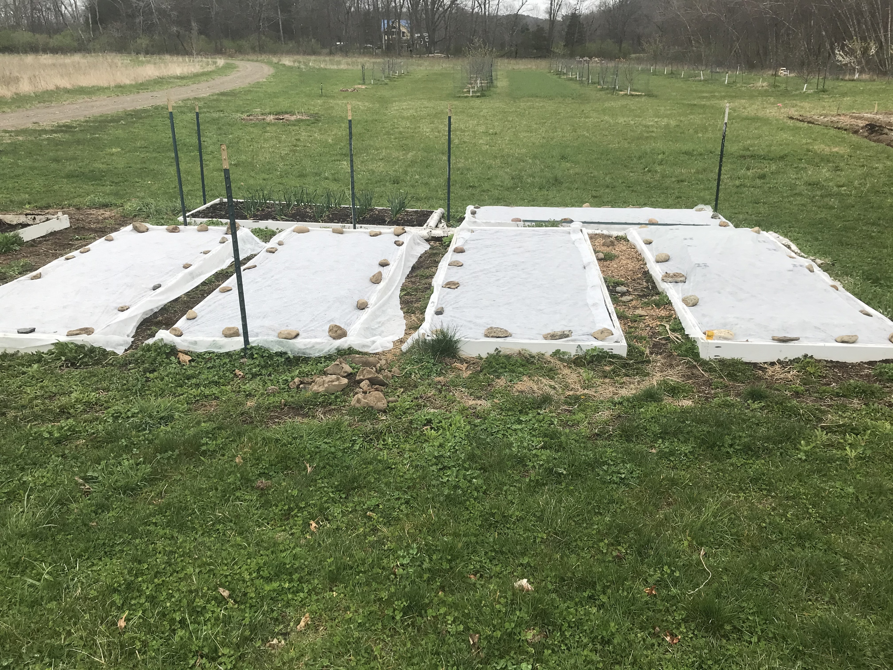 New garden plots - Page 2 - General Gardening - Growing Fruit
