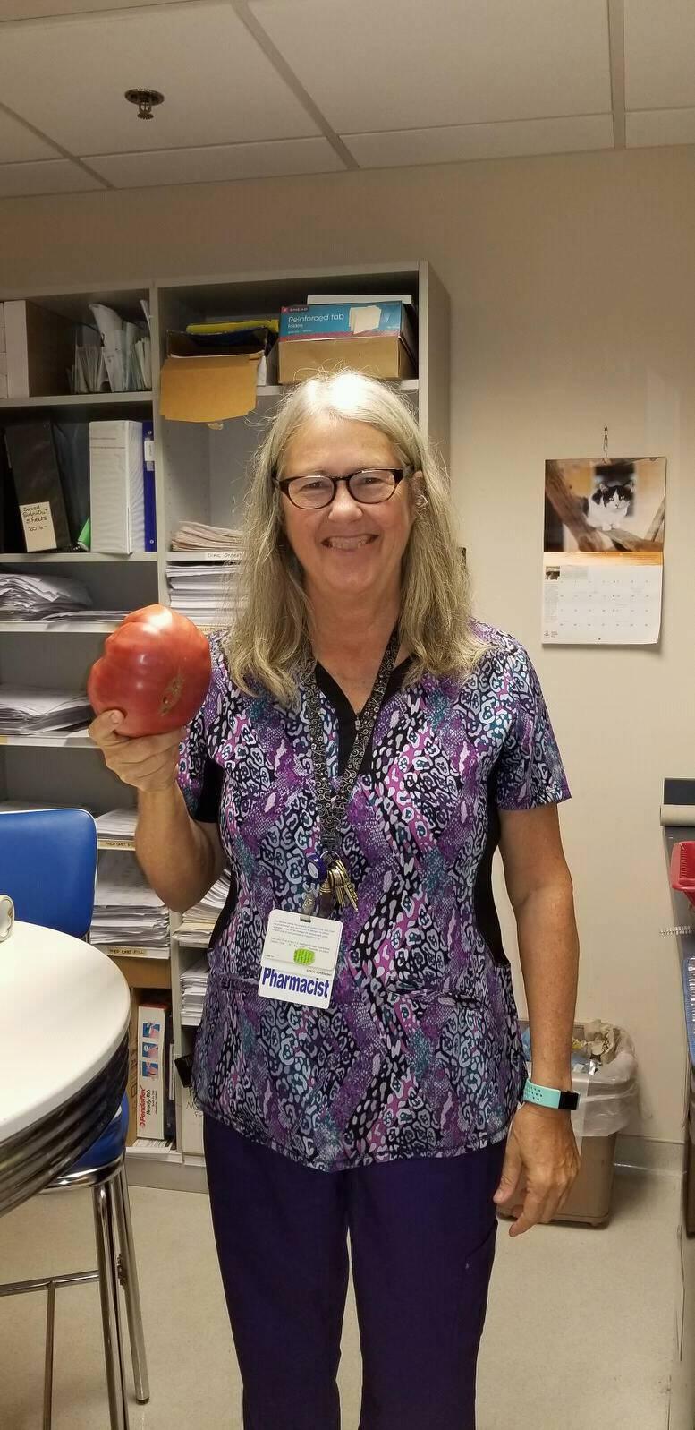 Biggest Tomato Contest 2020 - Page 4 - General Gardening - Growing Fruit
