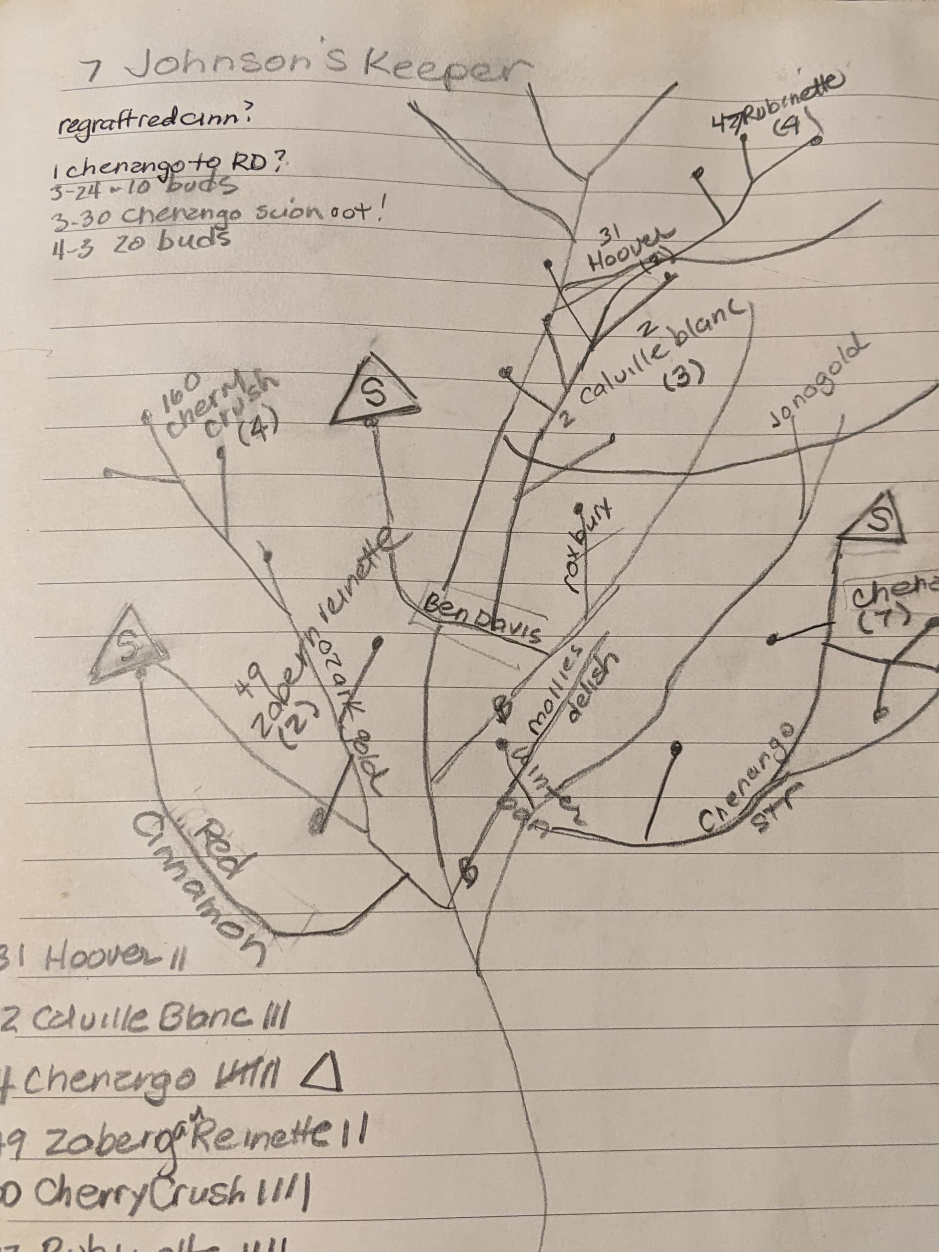 M111…did i head off TOO short? - General Fruit Growing - Growing Fruit