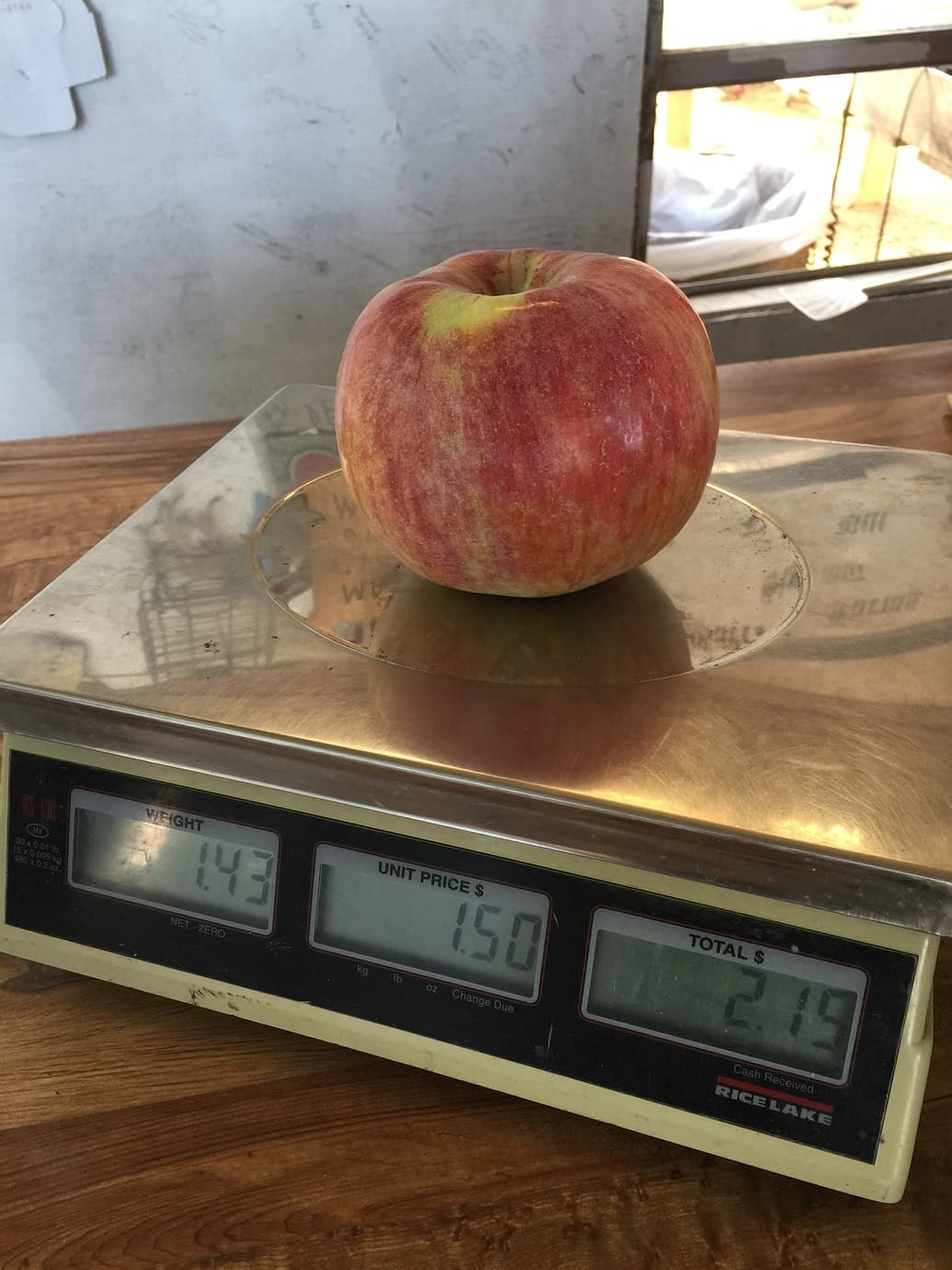 Growing Very Large to Huge Apples - Page 2 - General Fruit Growing ...