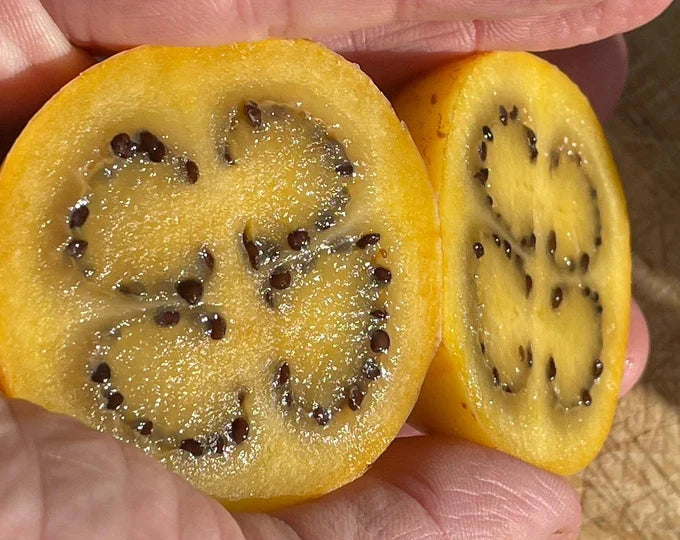 Best tropical fruits for container growing? - Page 4 - General Fruit ...