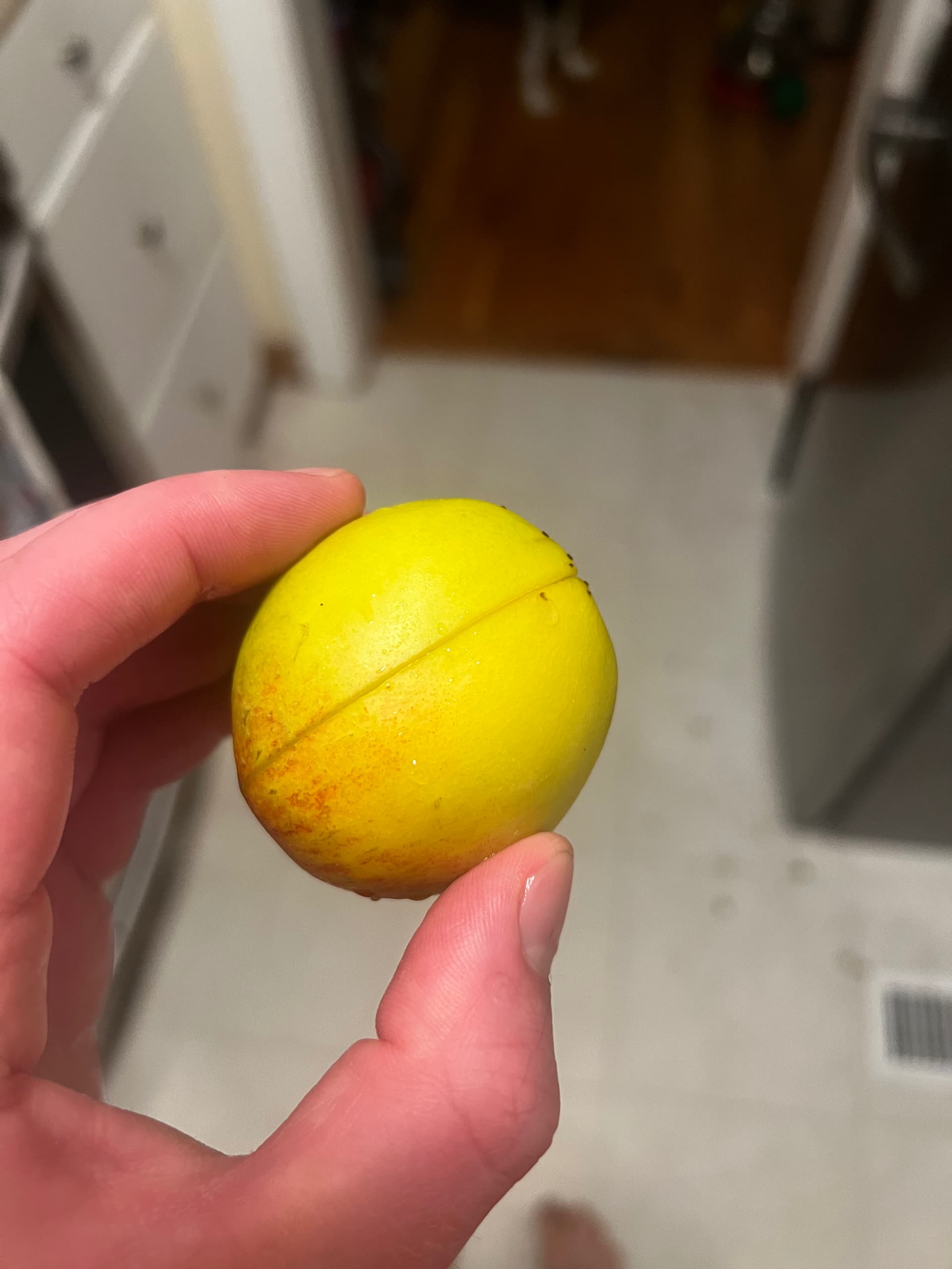 Genetic dwarf peaches - General Fruit Growing - Growing Fruit