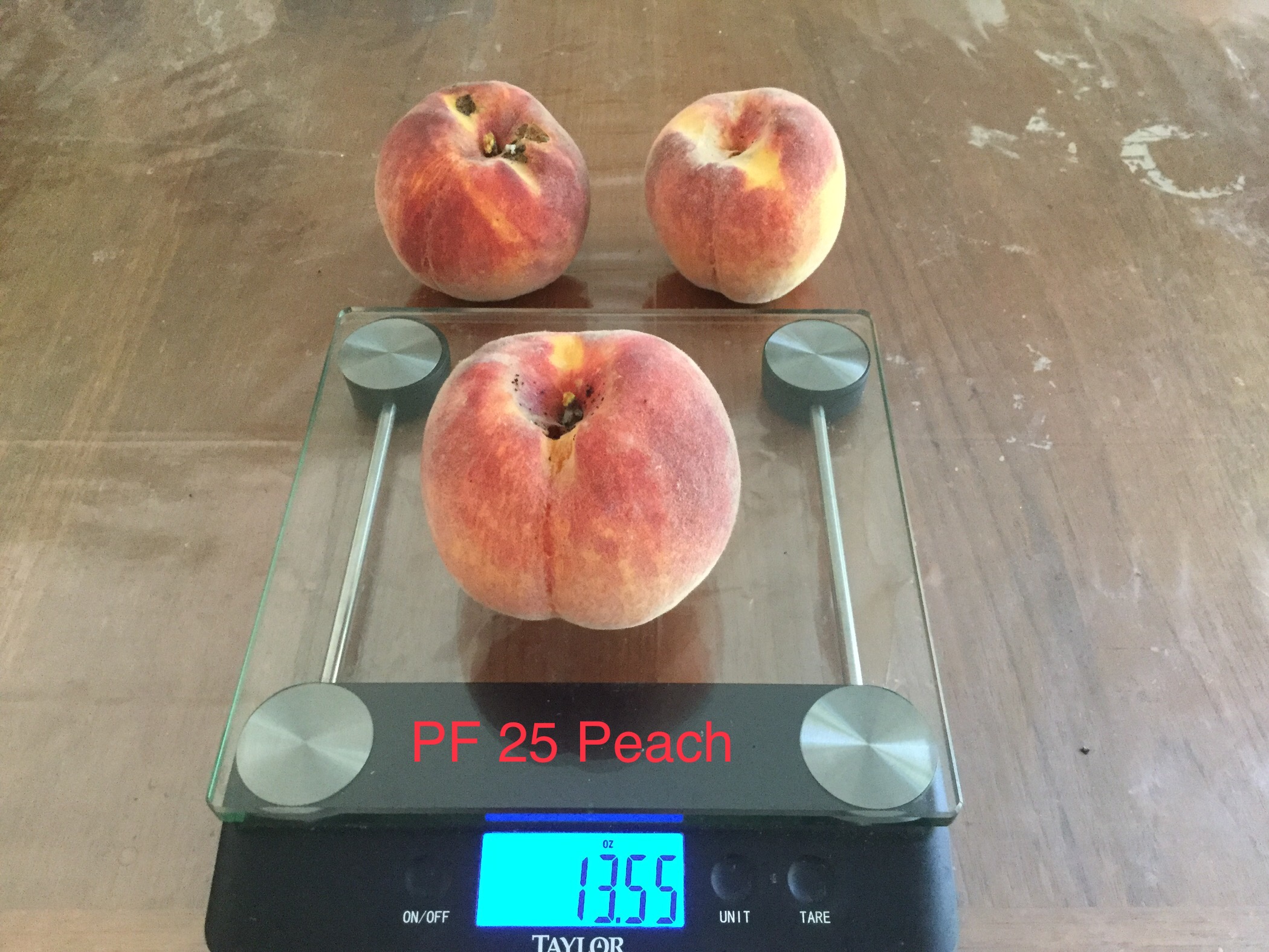 A really big peach - Page 4 - General Fruit Growing - Growing Fruit
