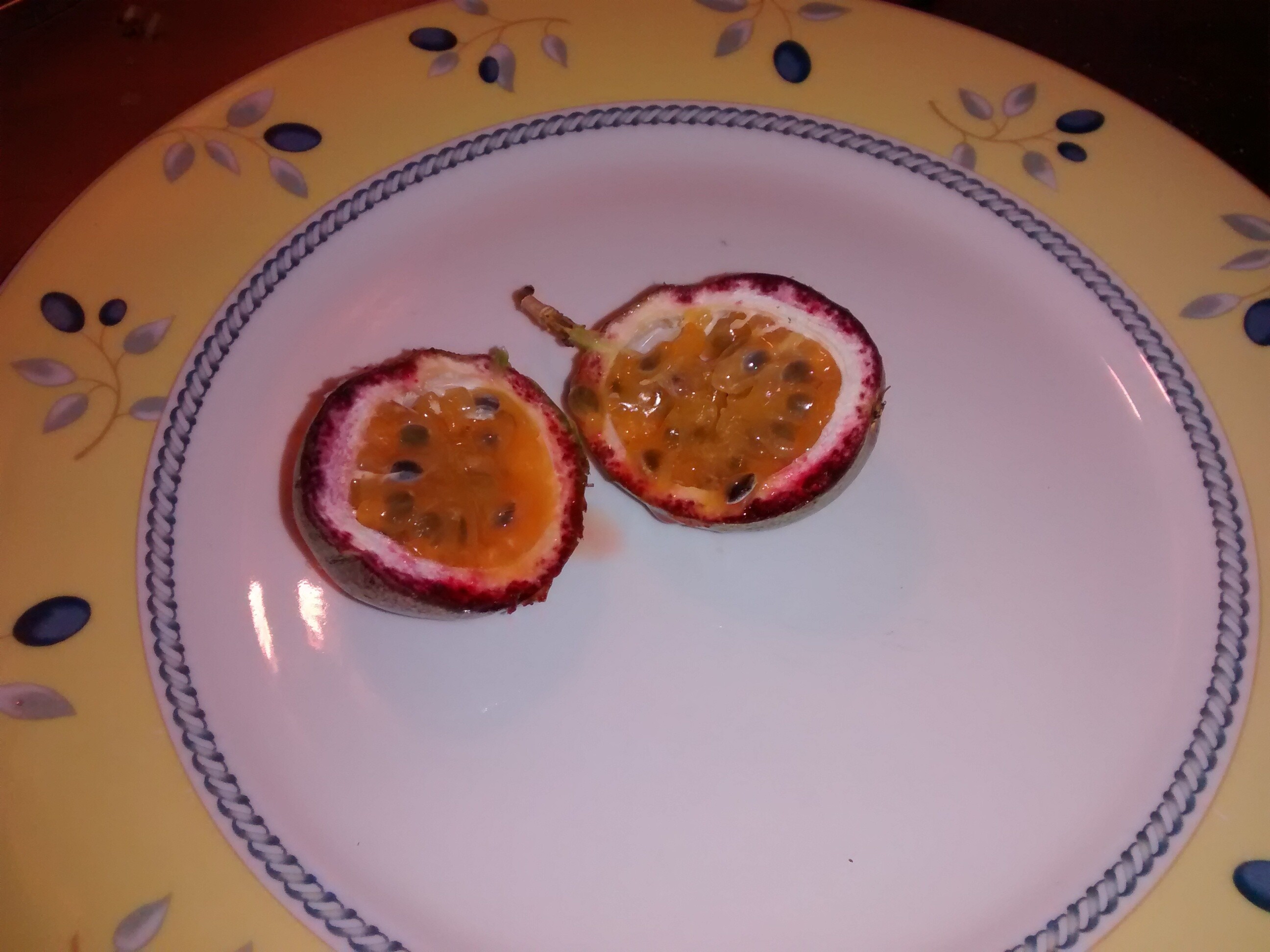 Now harvesting - General Fruit Growing - Growing Fruit