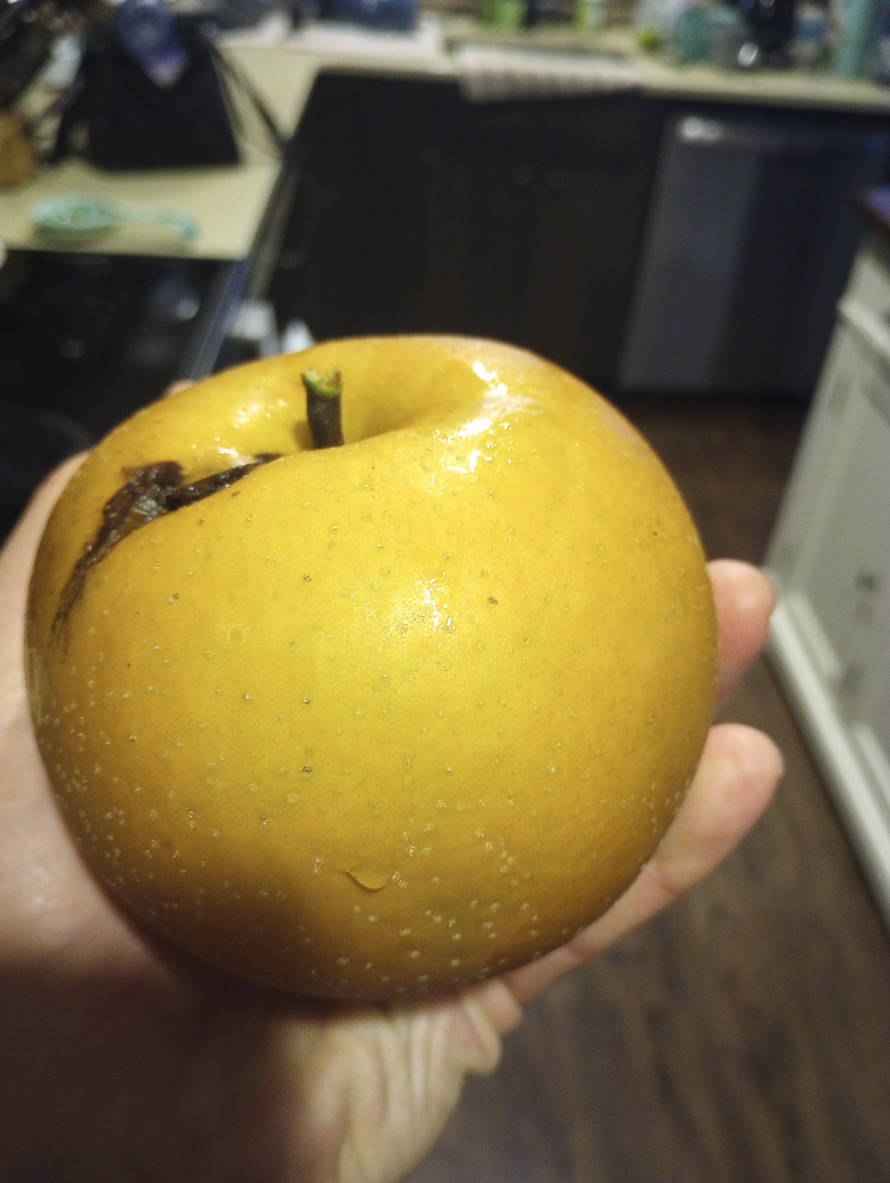 Korean Giant Ripe Time - General Fruit Growing - Growing Fruit