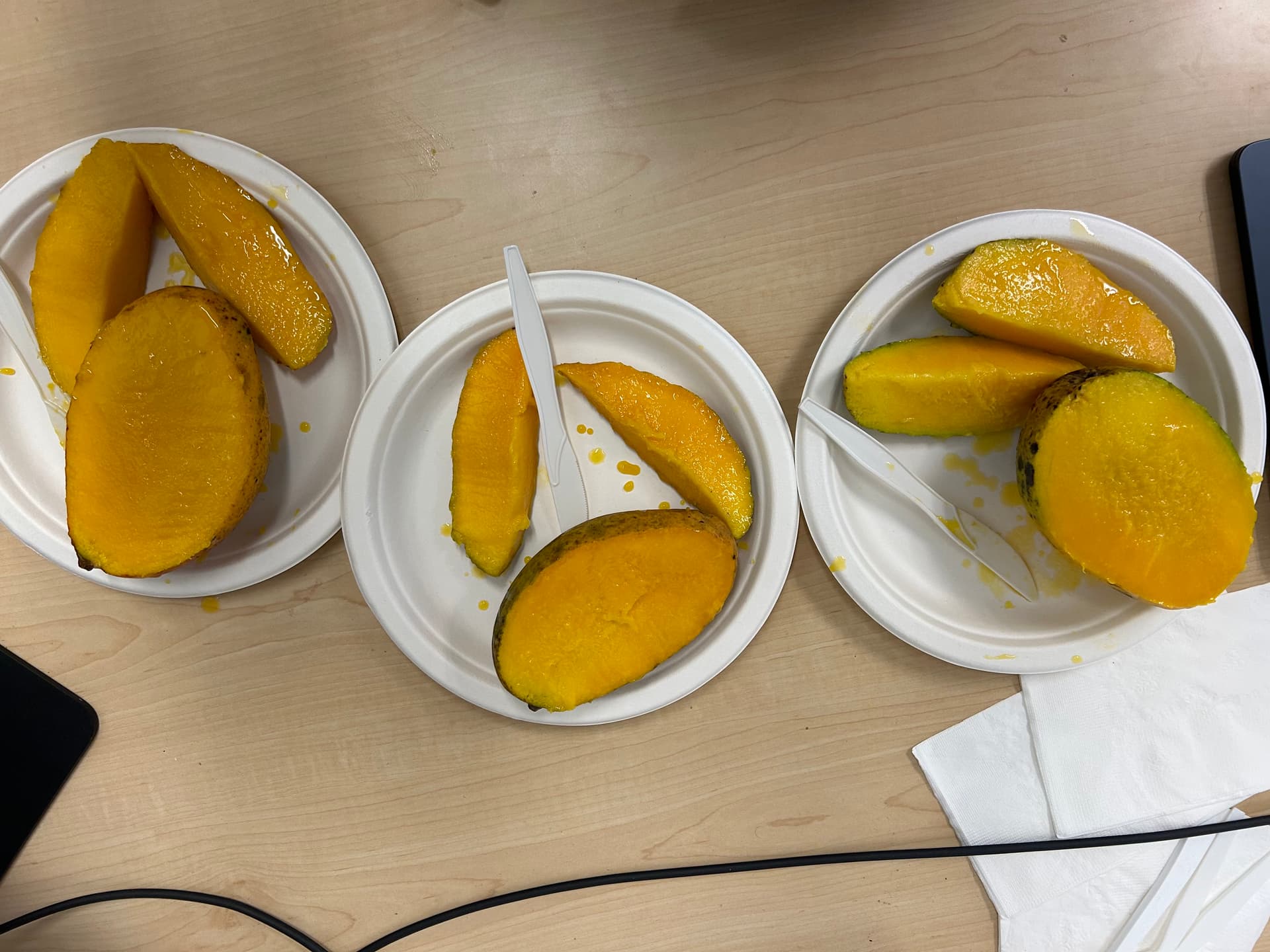 My new mango plants in a grow room and greenhouse issues - Page 4 ...