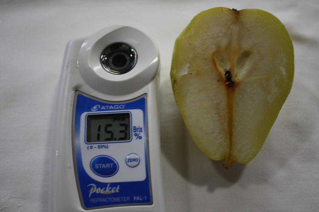Varieties Of Pears Of Early Ripening - General Fruit Growing - Growing ...