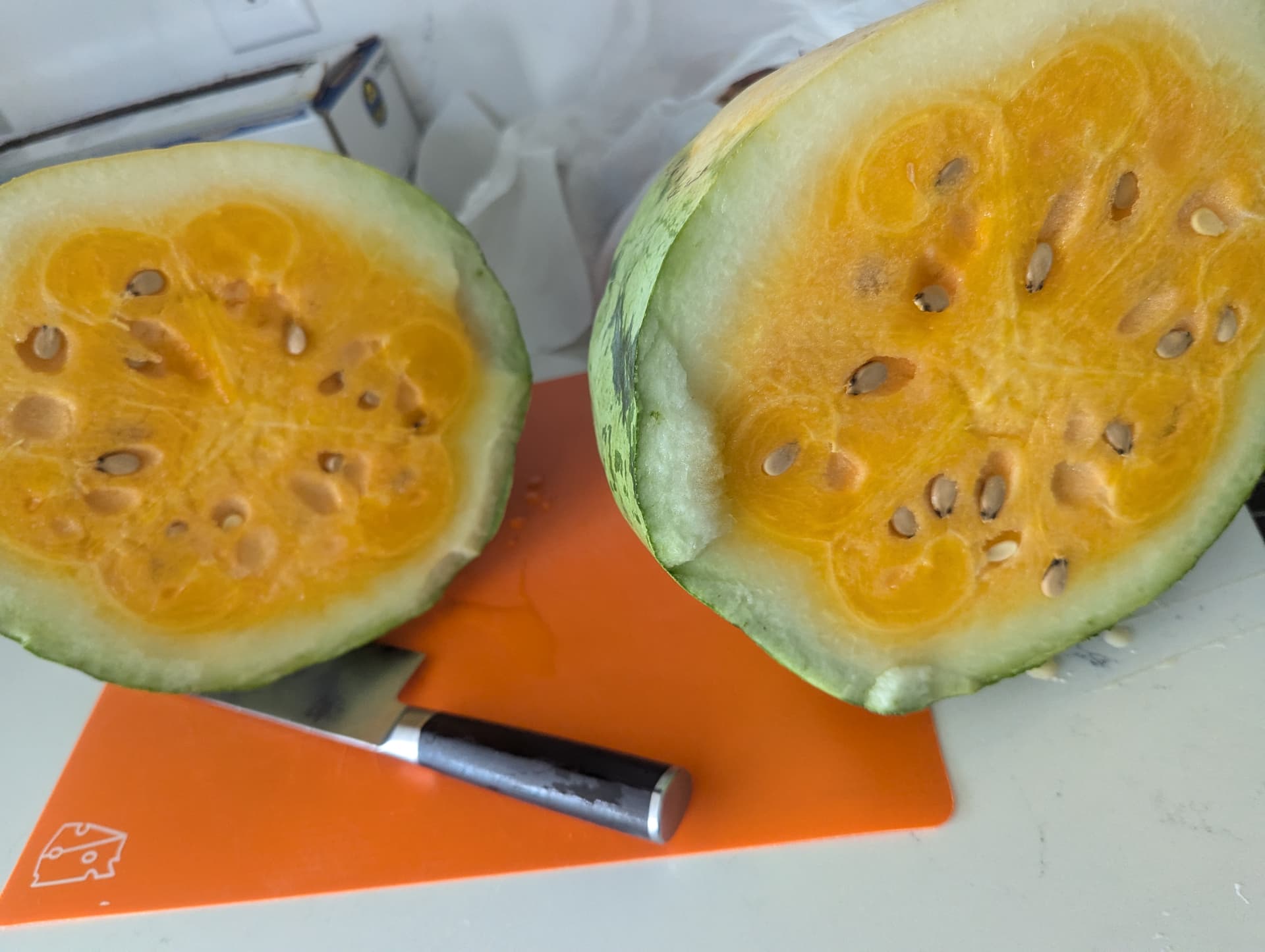 First Orange glo watermelon harvest - General Fruit Growing - Growing Fruit
