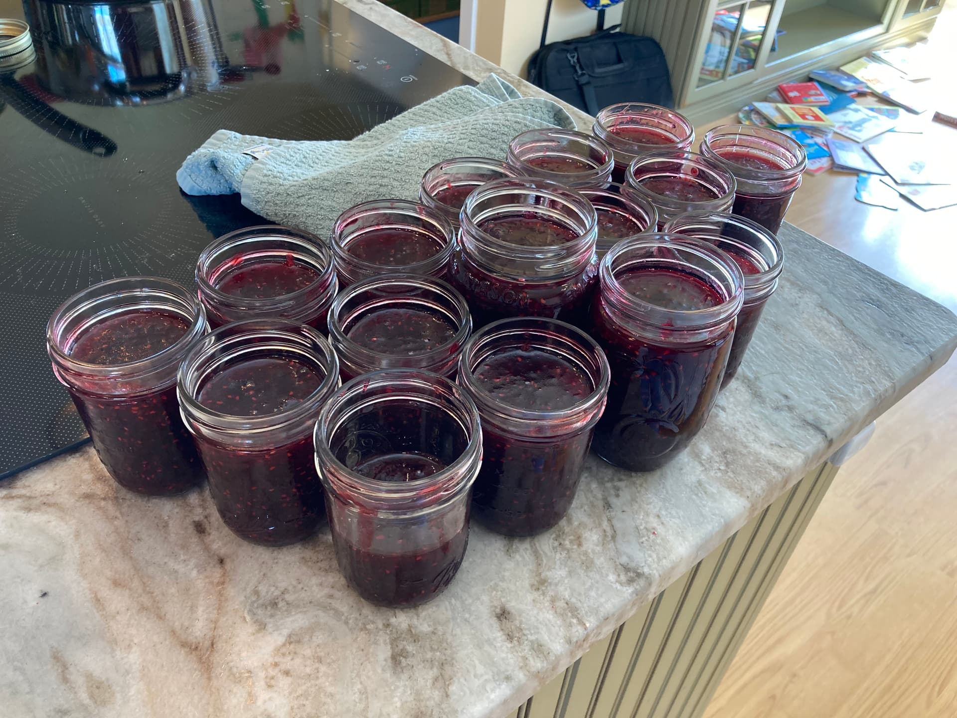 Jams Jellies Preserves 2023 - Fruit in the Kitchen - Growing Fruit