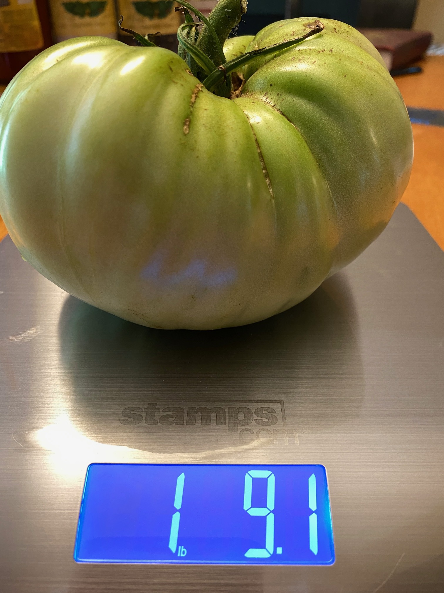 Biggest Tomato Contest 2020 - General Gardening - Growing Fruit