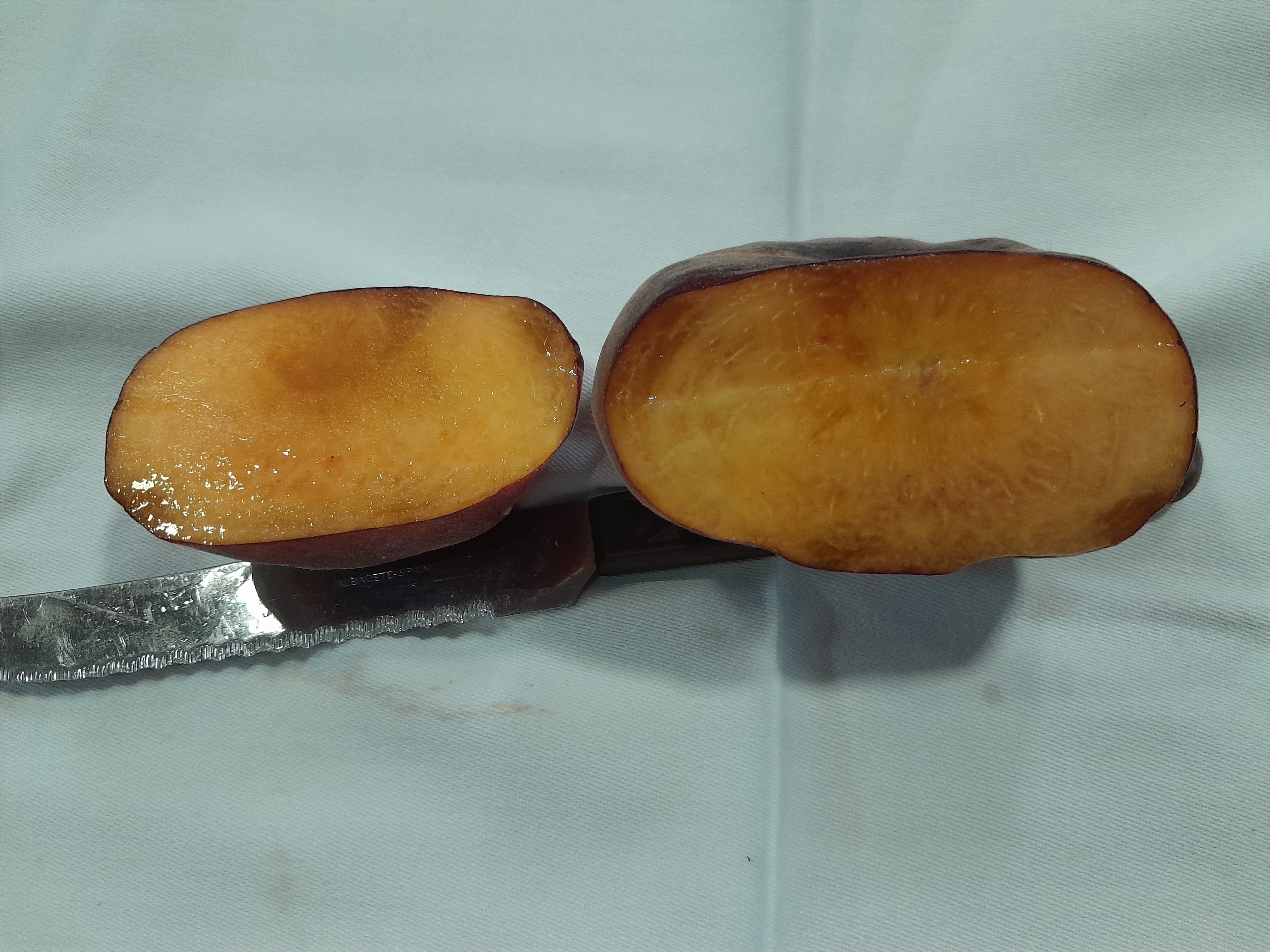 SMS Unlimited Yellowstone-4 canning peach type - General Fruit Growing ...