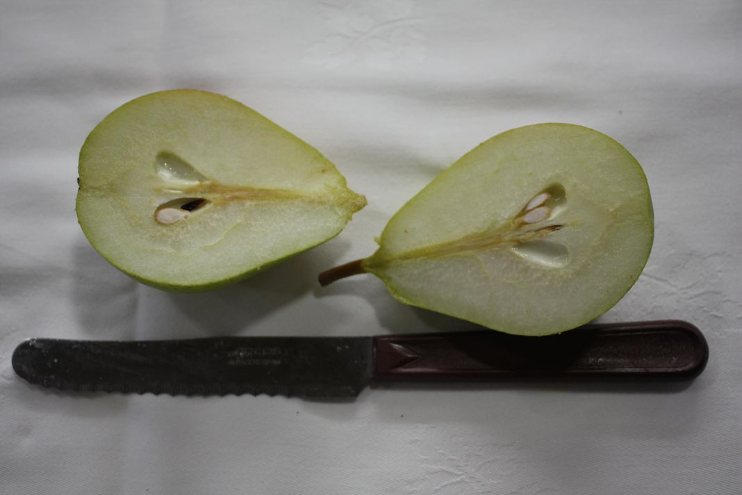 Varieties Of Pears Of Early Ripening - General Fruit Growing - Growing ...