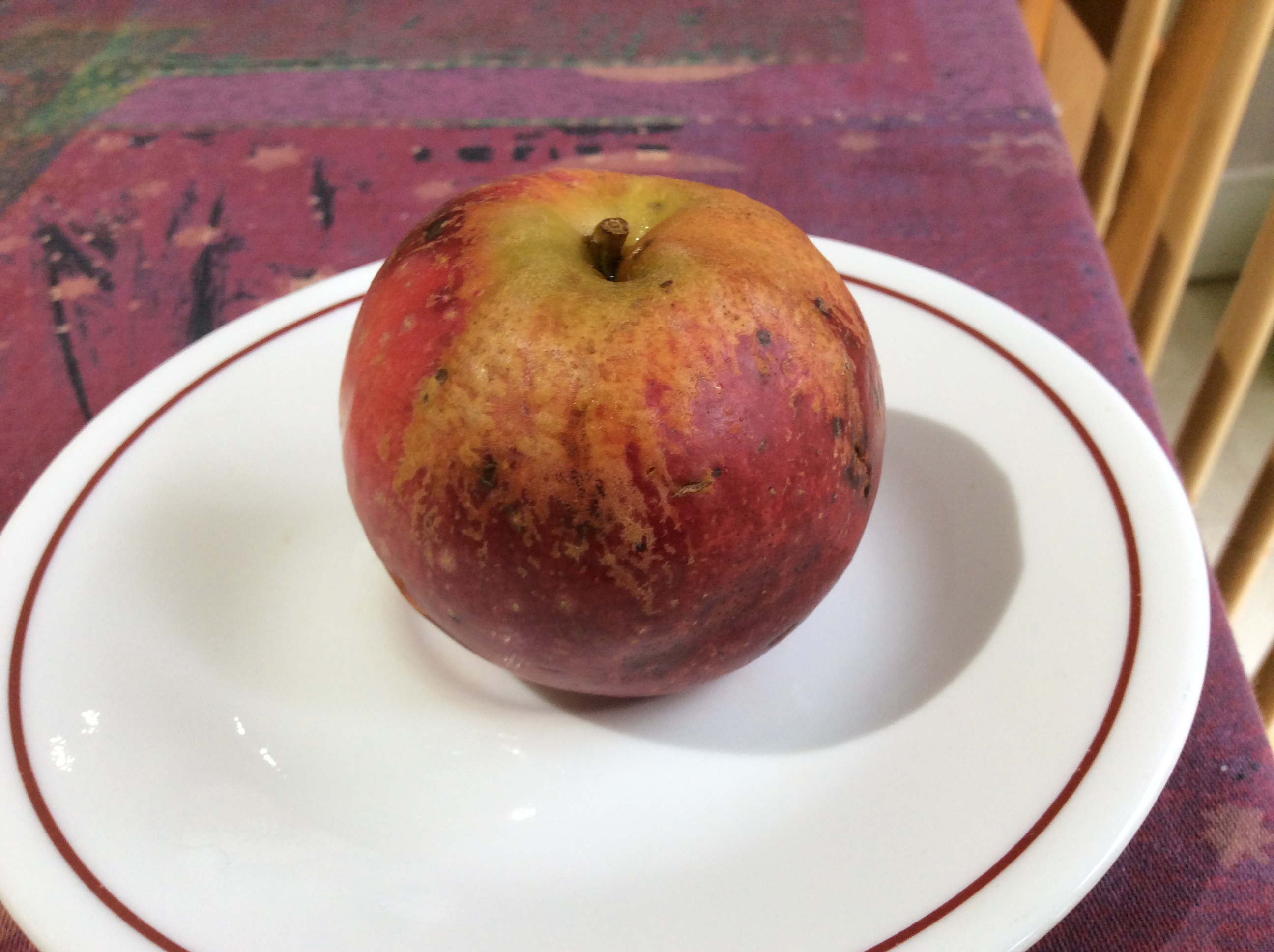 Experience with Red Fleshed Apples - General Fruit Growing - Growing Fruit