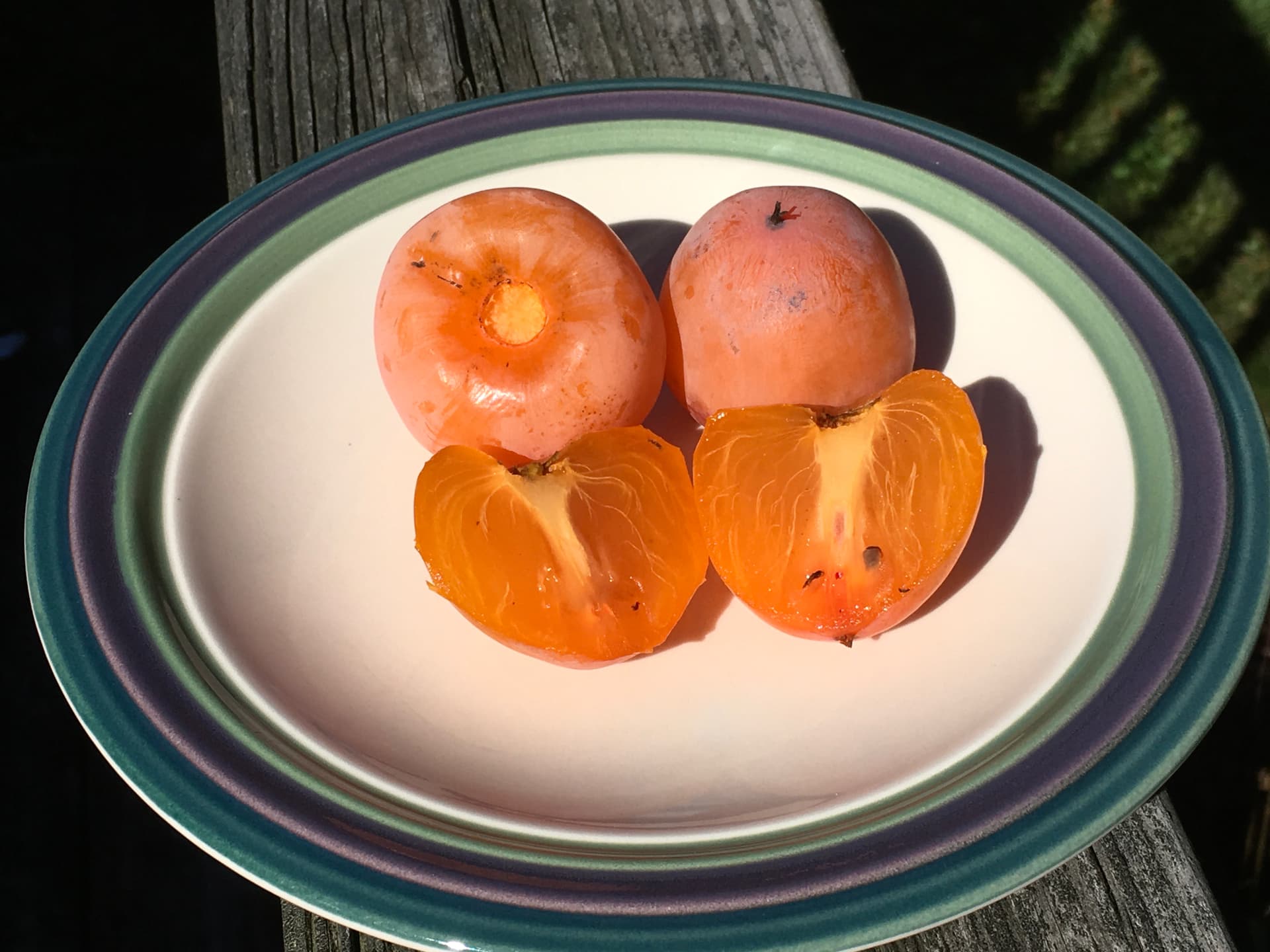 Prok and Yates American persimmons - Page 12 - General Fruit Growing ...